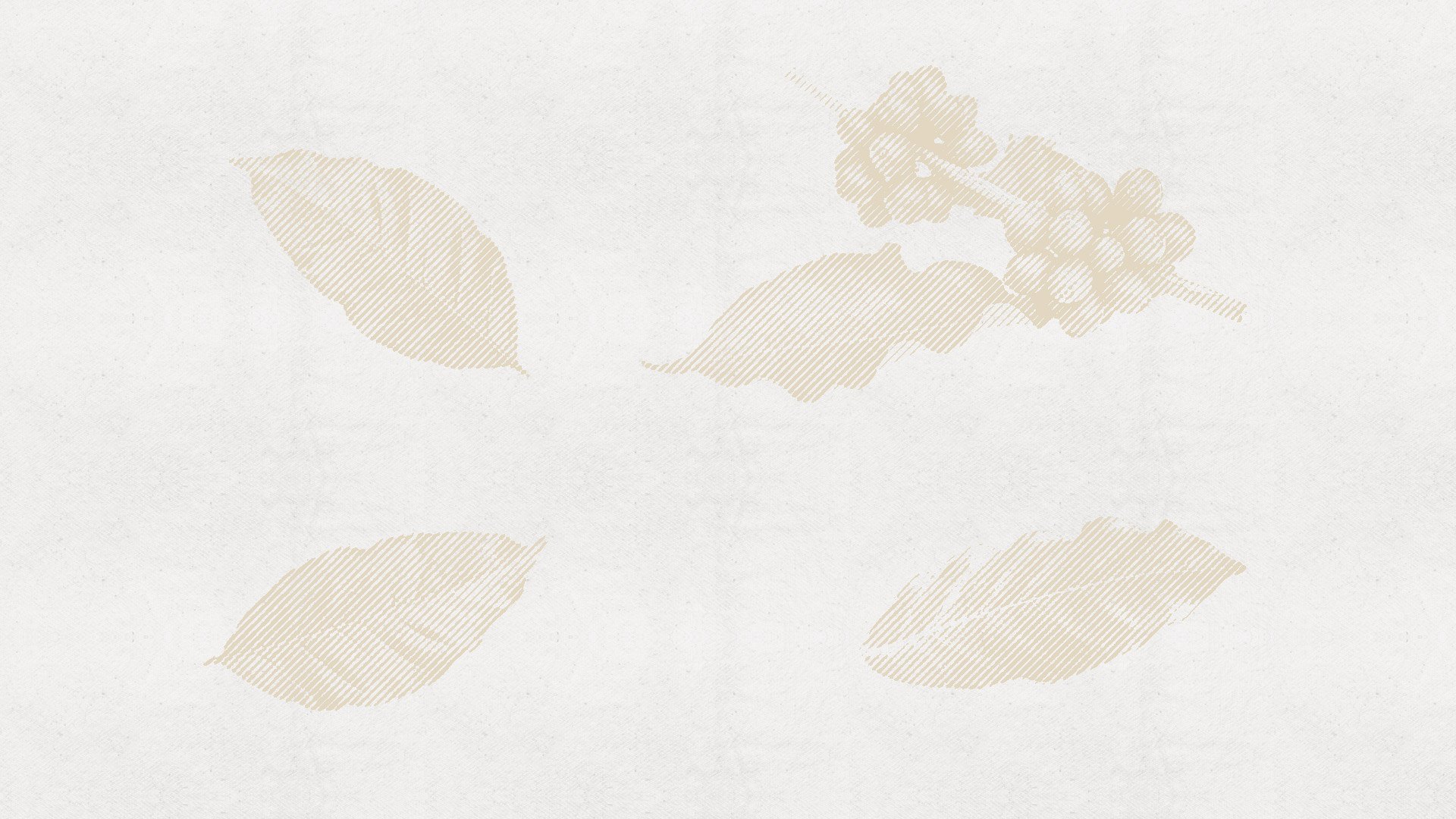 Contacto Café La Laja | Café La Laja